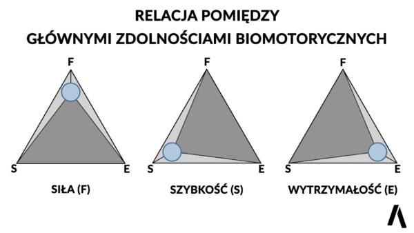 Zdolności motoryczne - podział i kształtowanie | Fizjomate
